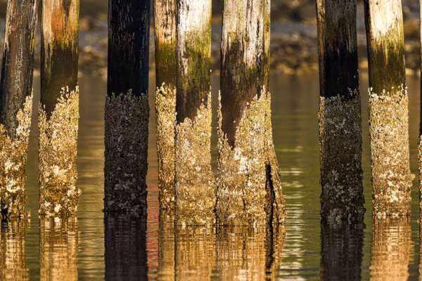 Scott Warner - Official Website